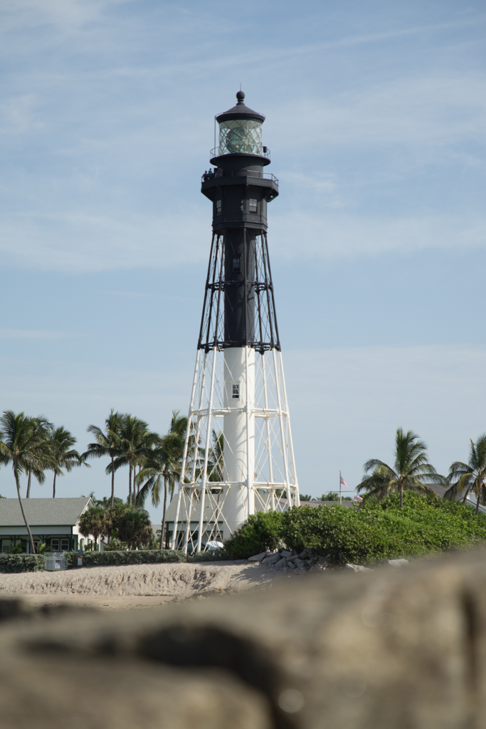 HLPS - From The Groin